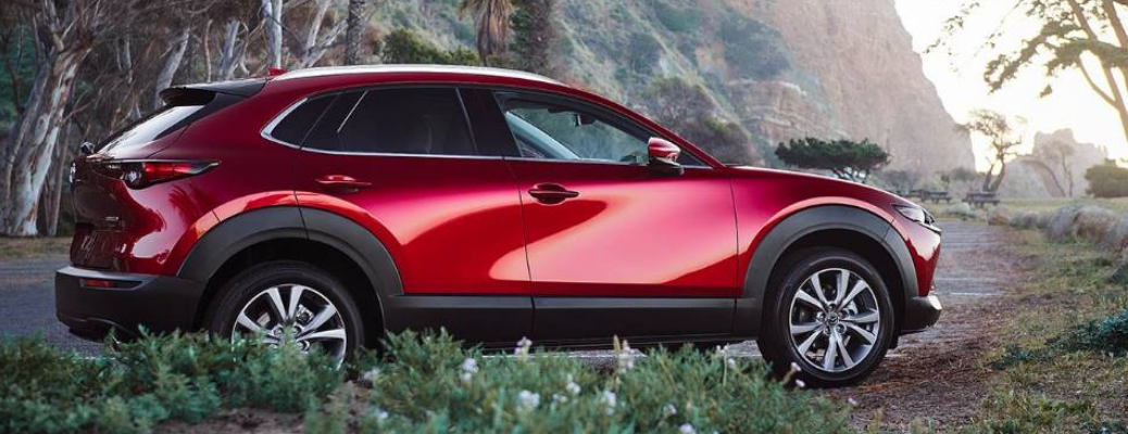 Exterior Paint Color Options for the 2021 Mazda CX-30 - Sheehy Mazda
