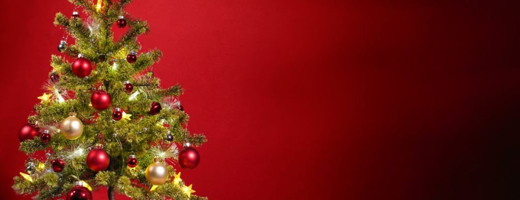 4 Tips for Keeping a Christmas Tree Healthy