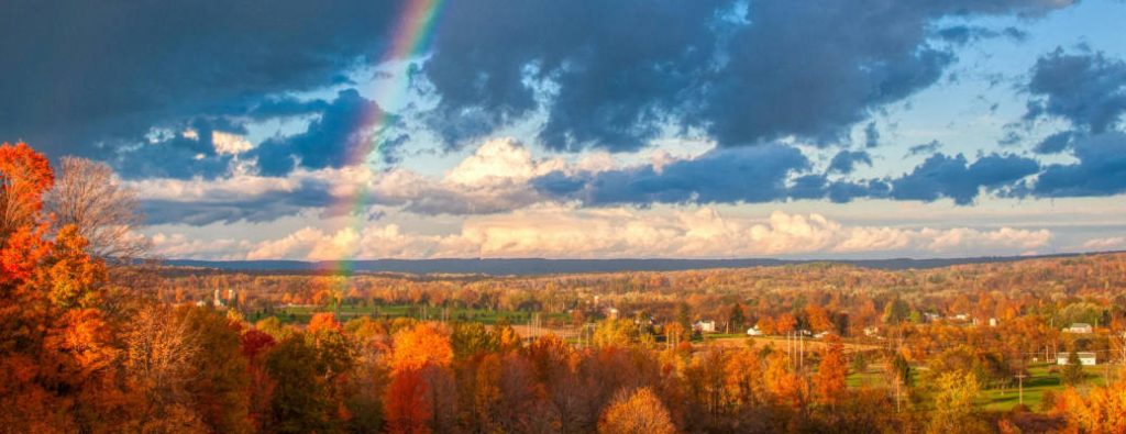 Where Are the Best Places to See Fall Leaves in Dallas and Fort Worth?