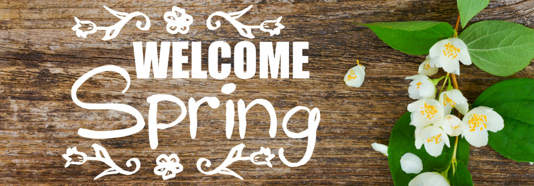 Spring 2018 Festivals and Events In and Around Atlanta GA