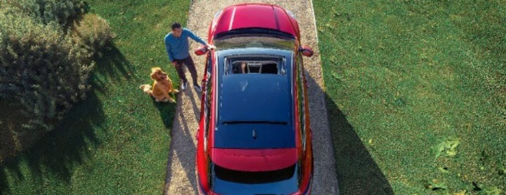 2020 Ford Escape Engine Options and Power Ratings - Akins Ford