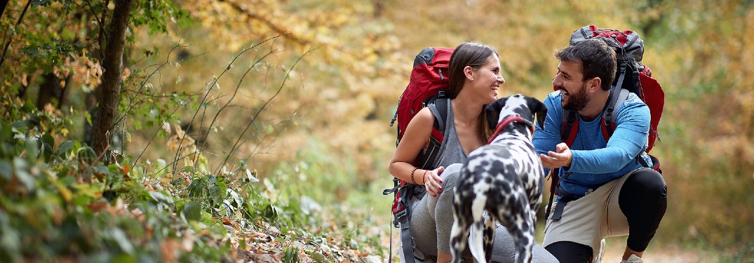 5 Dog-Friendly Hiking Trails near OKC - Battison Honda