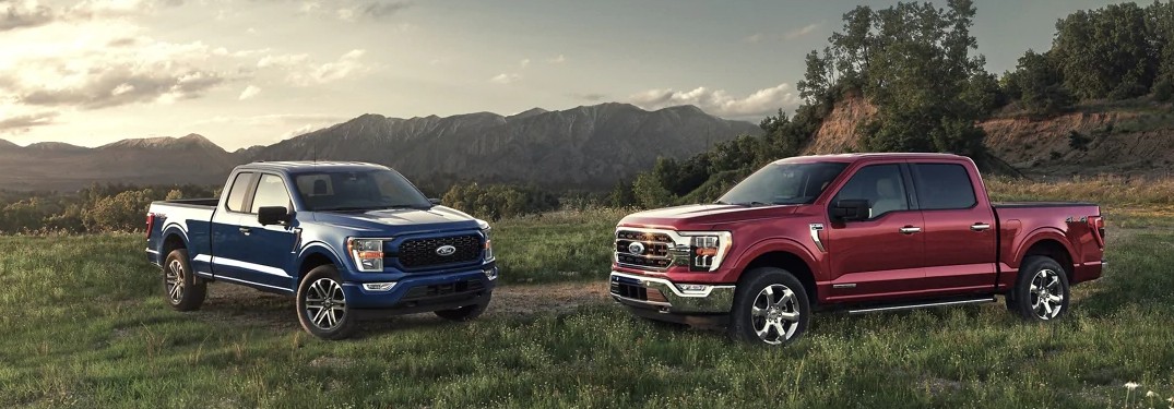 2021 Ford F-150 Model Options & Comparison - Kimber Creek Ford