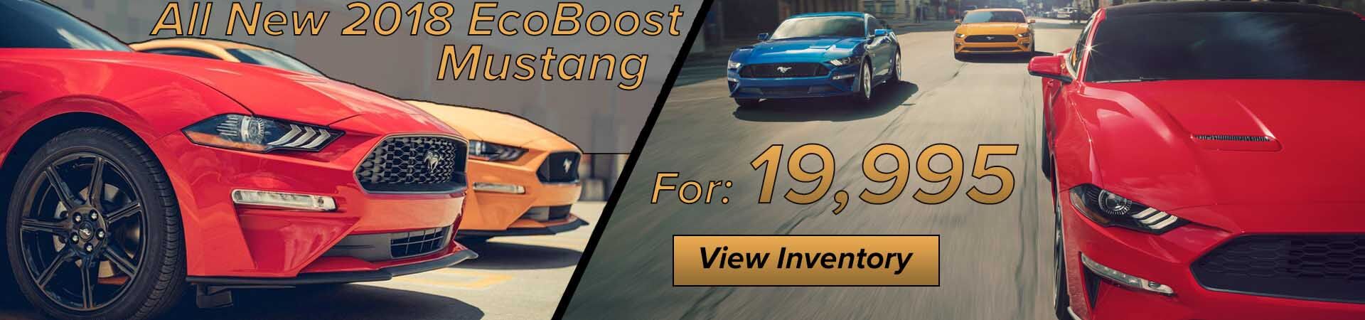 Ford Dealership Tampa FL Used Cars Brandon Ford