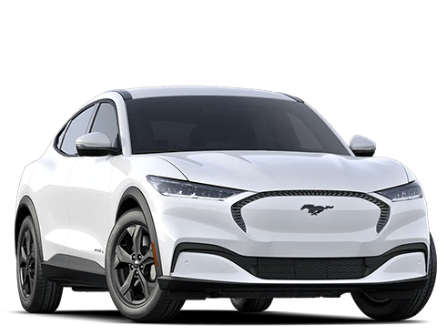 Ford Dealership Tampa FL Used Cars Brandon Ford