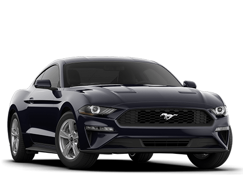 Ford Dealership Tampa FL Used Cars Brandon Ford