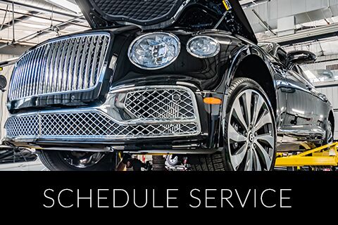 The Mark Motors Luxury Used Car Dealership In Boerne TX