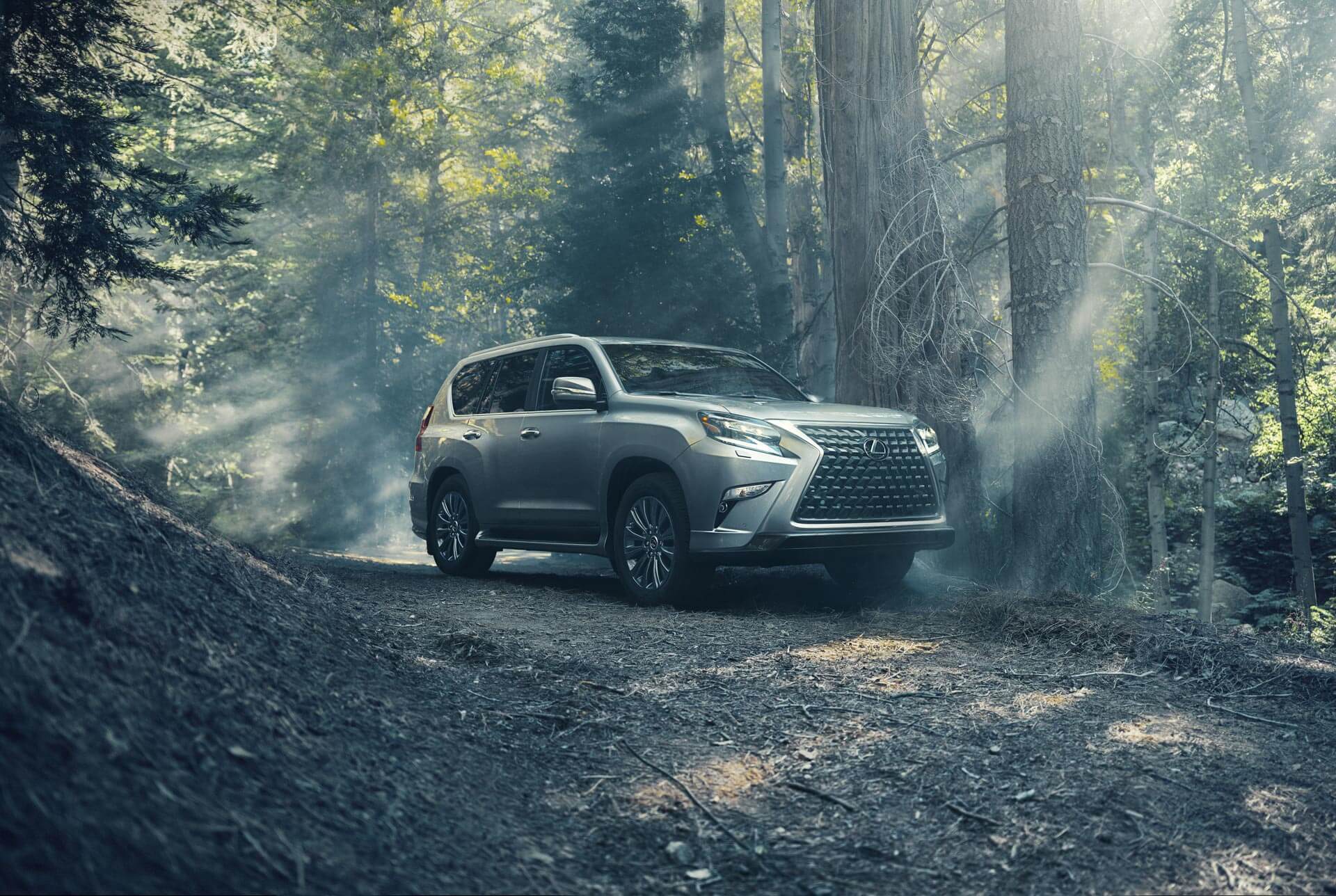 New Lexus RX Concord, CA