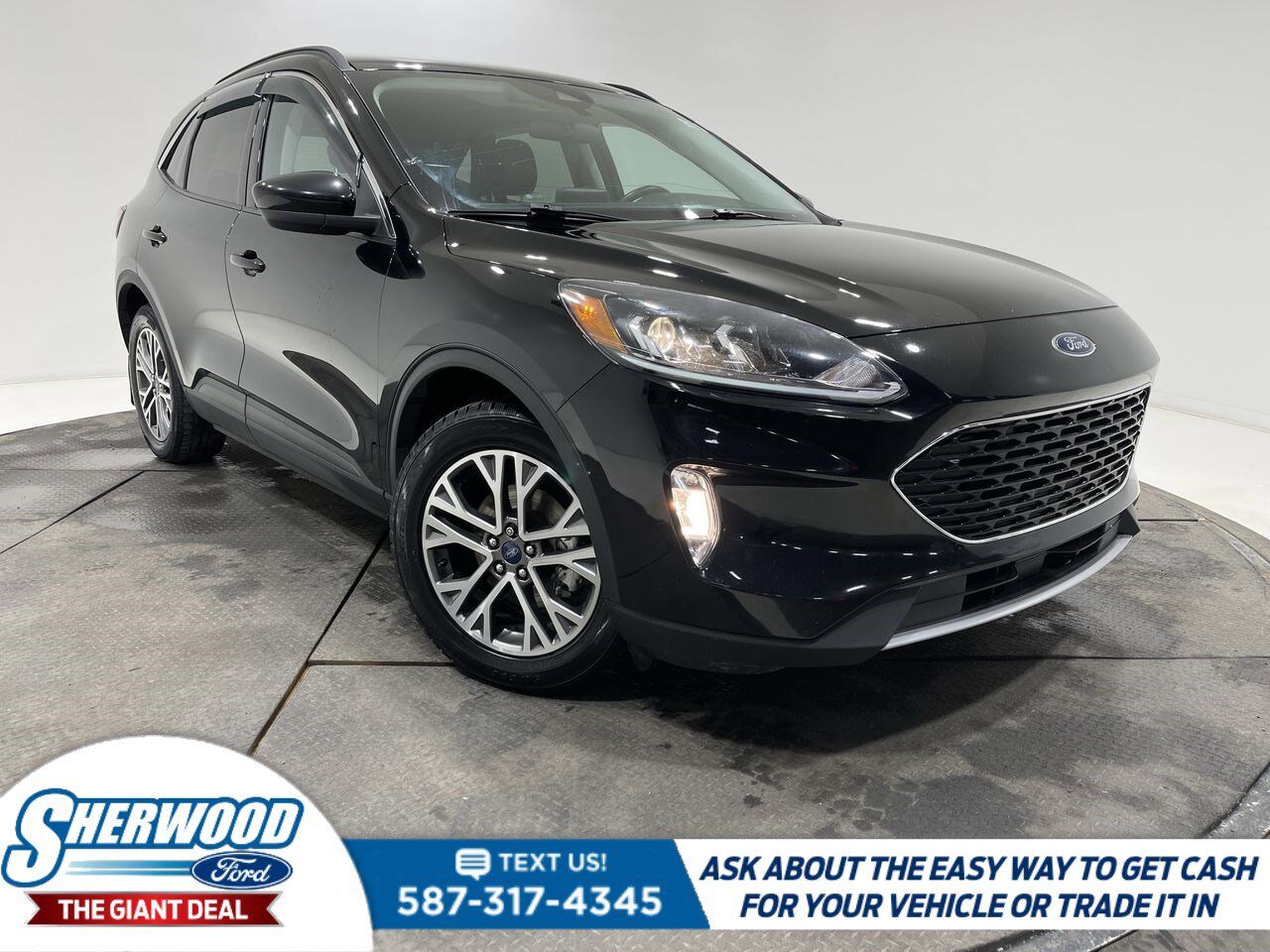 Used 2021 Ford Escape SEL Hybrid in Sherwood Park AB