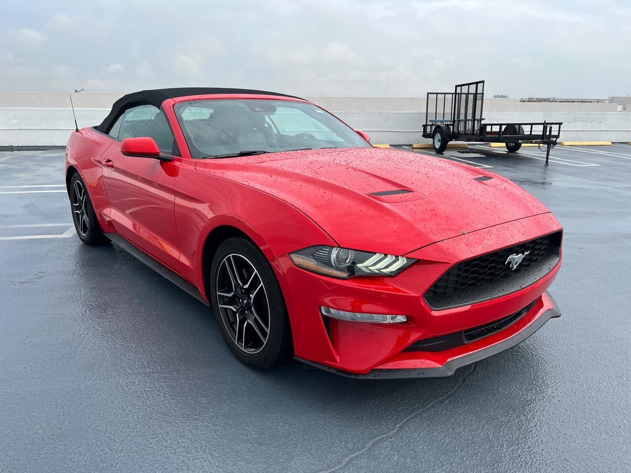 Used 2021 Ford Mustang EcoBoost Miami & West Palm Beach, Florida