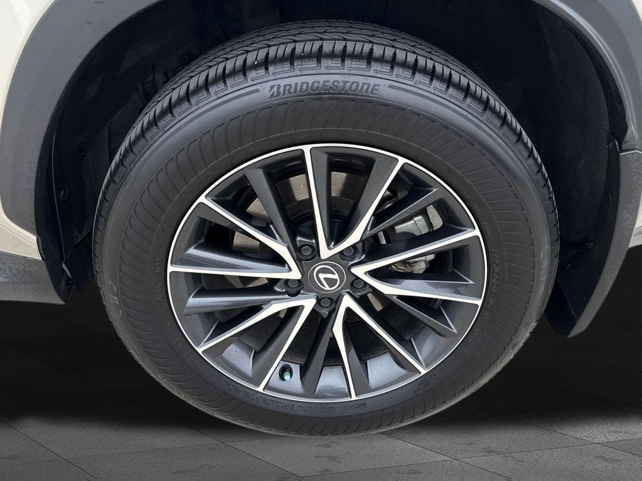 Used 2024 Lexus NX 250 Premium in San Antonio TX