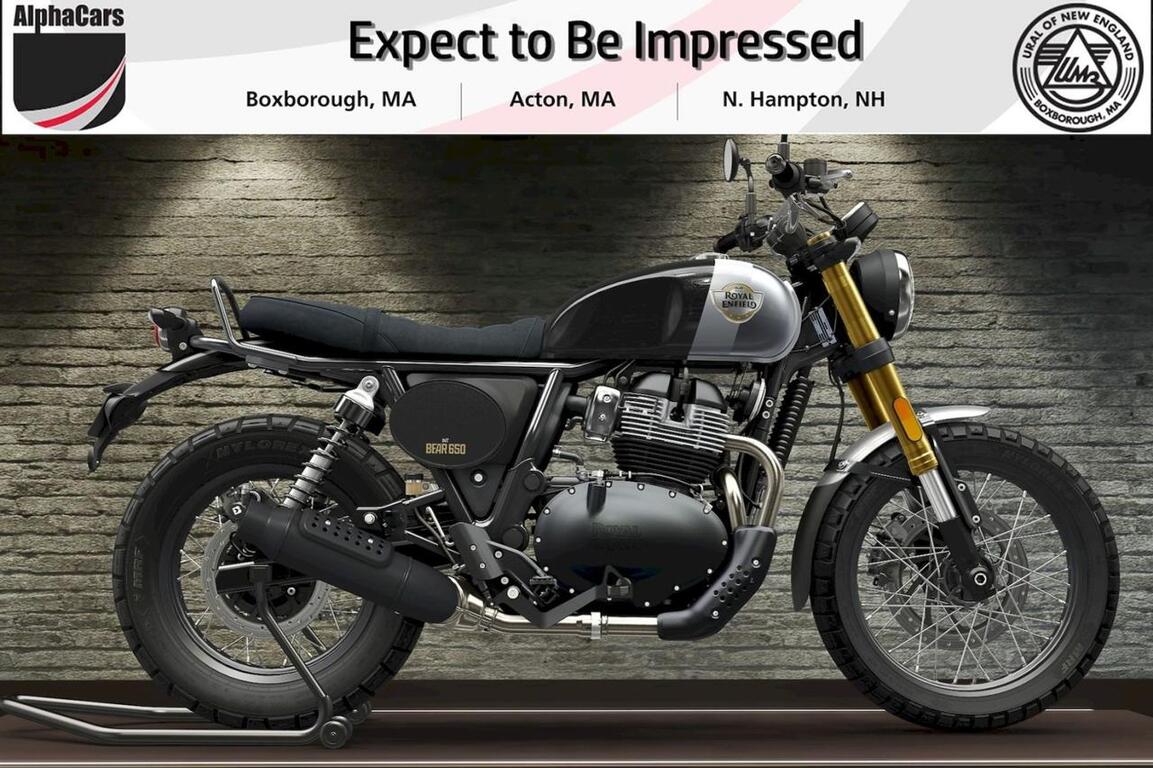 2025 Royal Enfield Bear 650 Golden Shadow Boxborough, MA 58742320